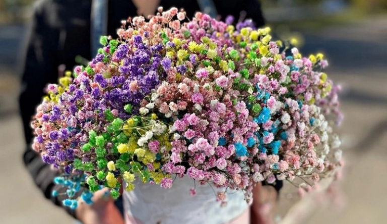 Cipso Demetleri: Mütevazi ve Zarif Çiçek Aranjmanları